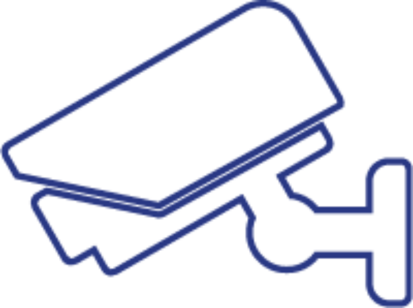 Décryptage : Comprendre l'engouement pour la "Vanlife"!